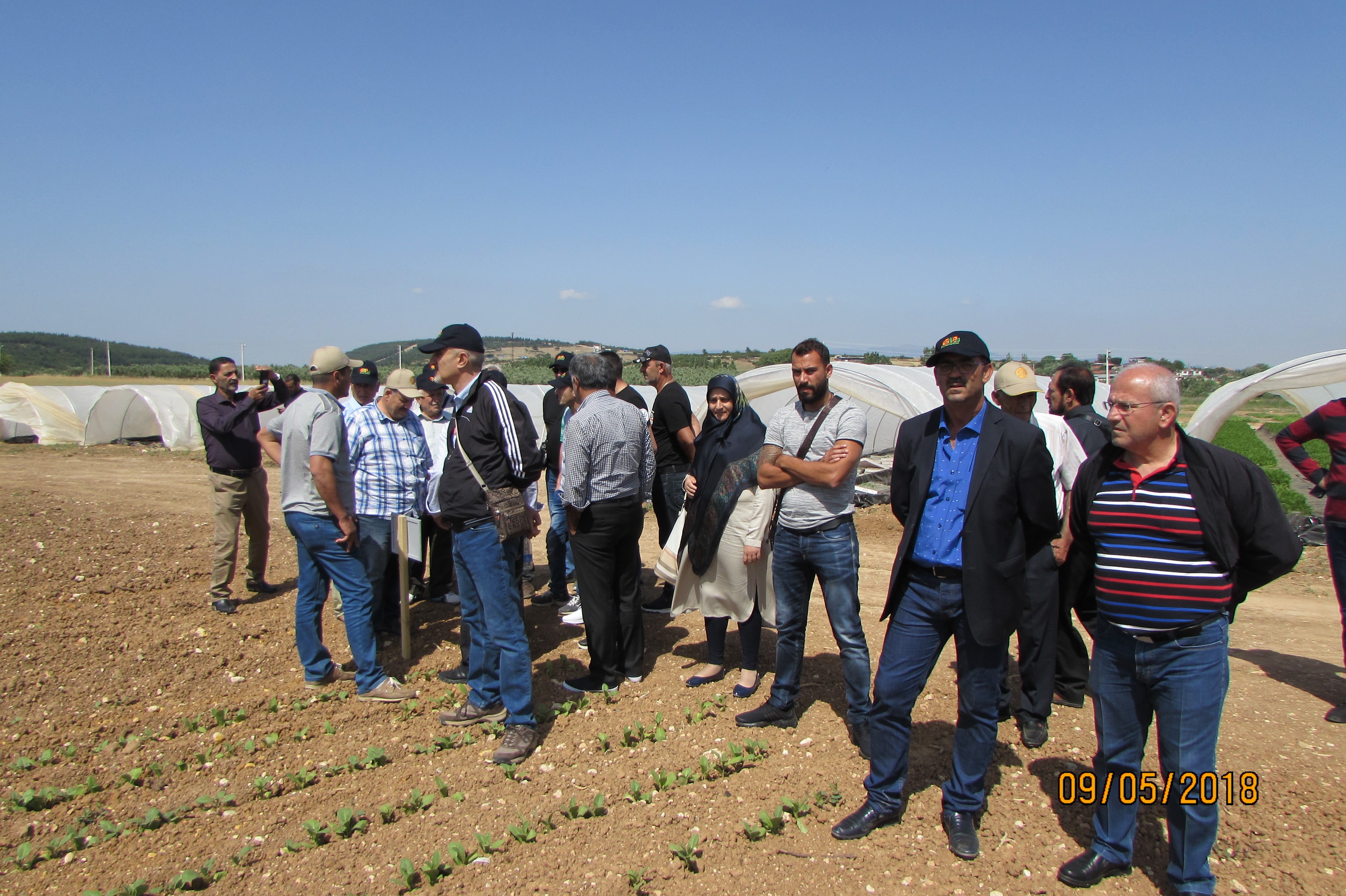 A delegation of tobacco farmers in Turkey to brief on the industry’s ...